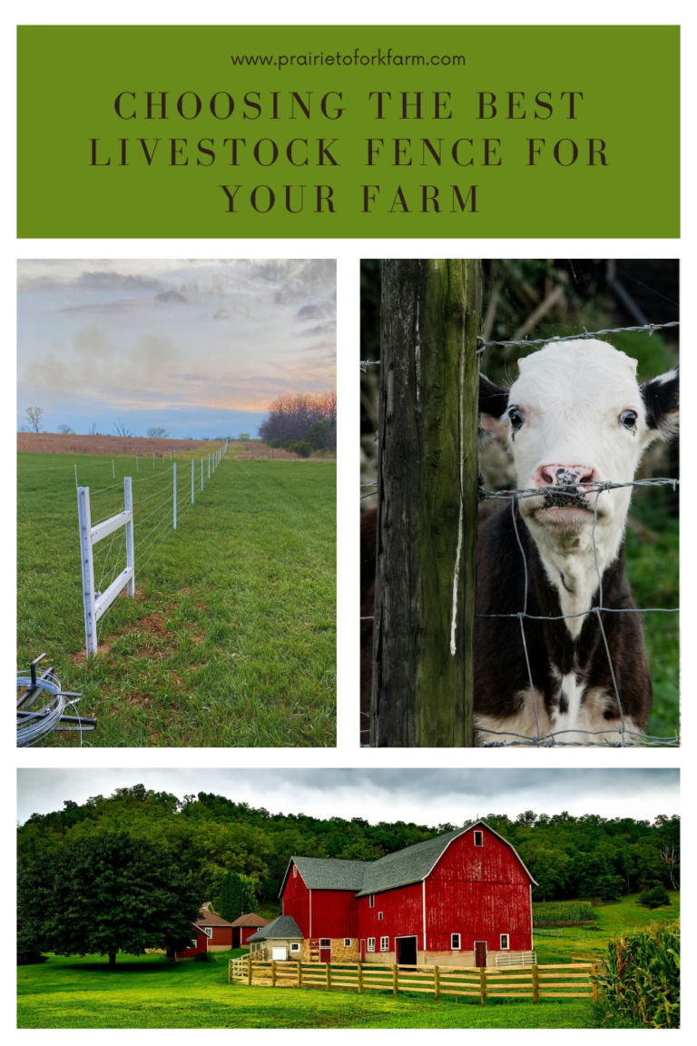 Best Fence for Cattle: Factors to Consider for Your Farm - Prairie to ...
